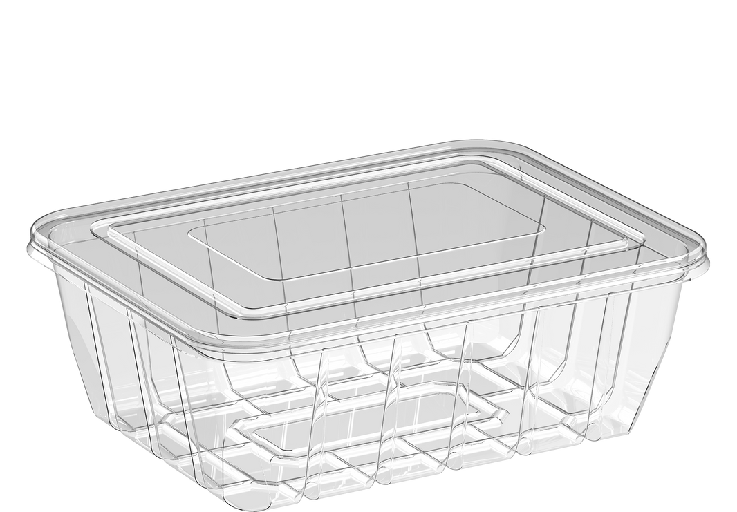 Disposable Plastic Containers- Cosmoplast UAE – Page 2
