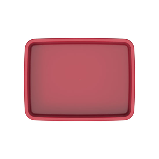 Cosmoplast Plastic Multipurpose Universal Tray - Small – Cosmoplast UAE